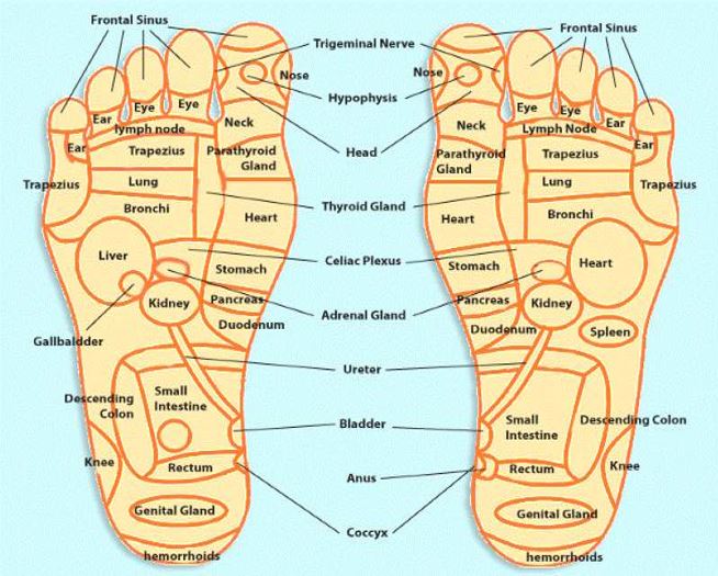 Acupuncture Points on Your Feet and Why We Use Them – East Boca Acupuncture